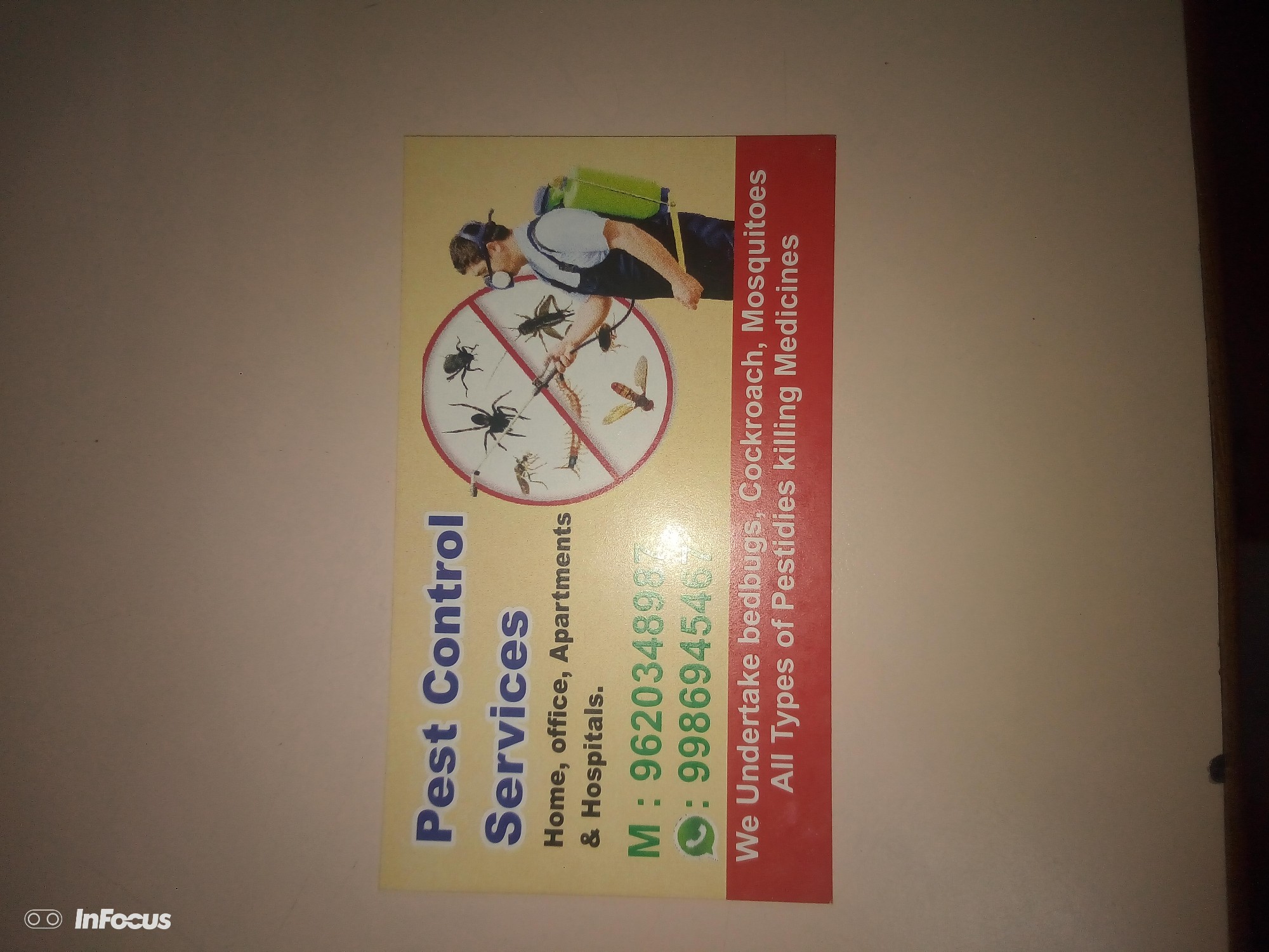 Pest Control Experts Mysuru Karnataka | Pest Control