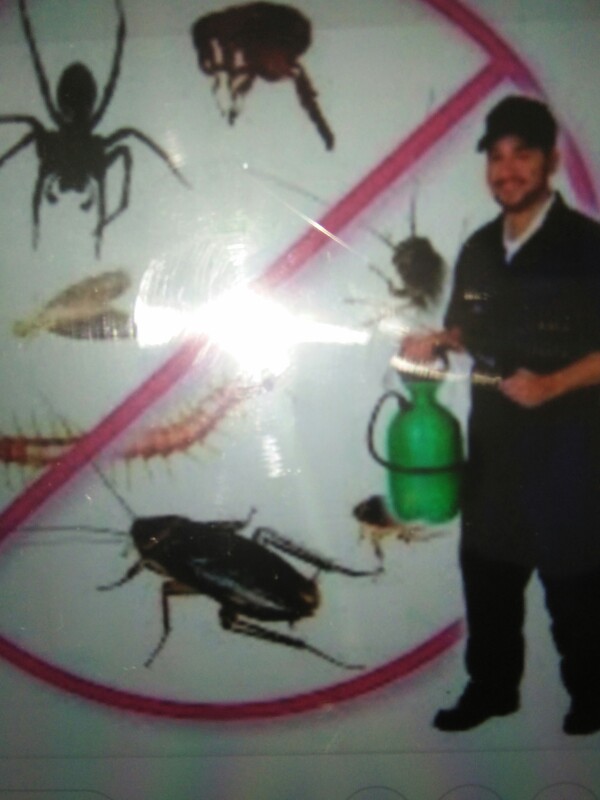 Advance Cargo Pest Control & Packing in Manewada Ring Road, Nagpur ...