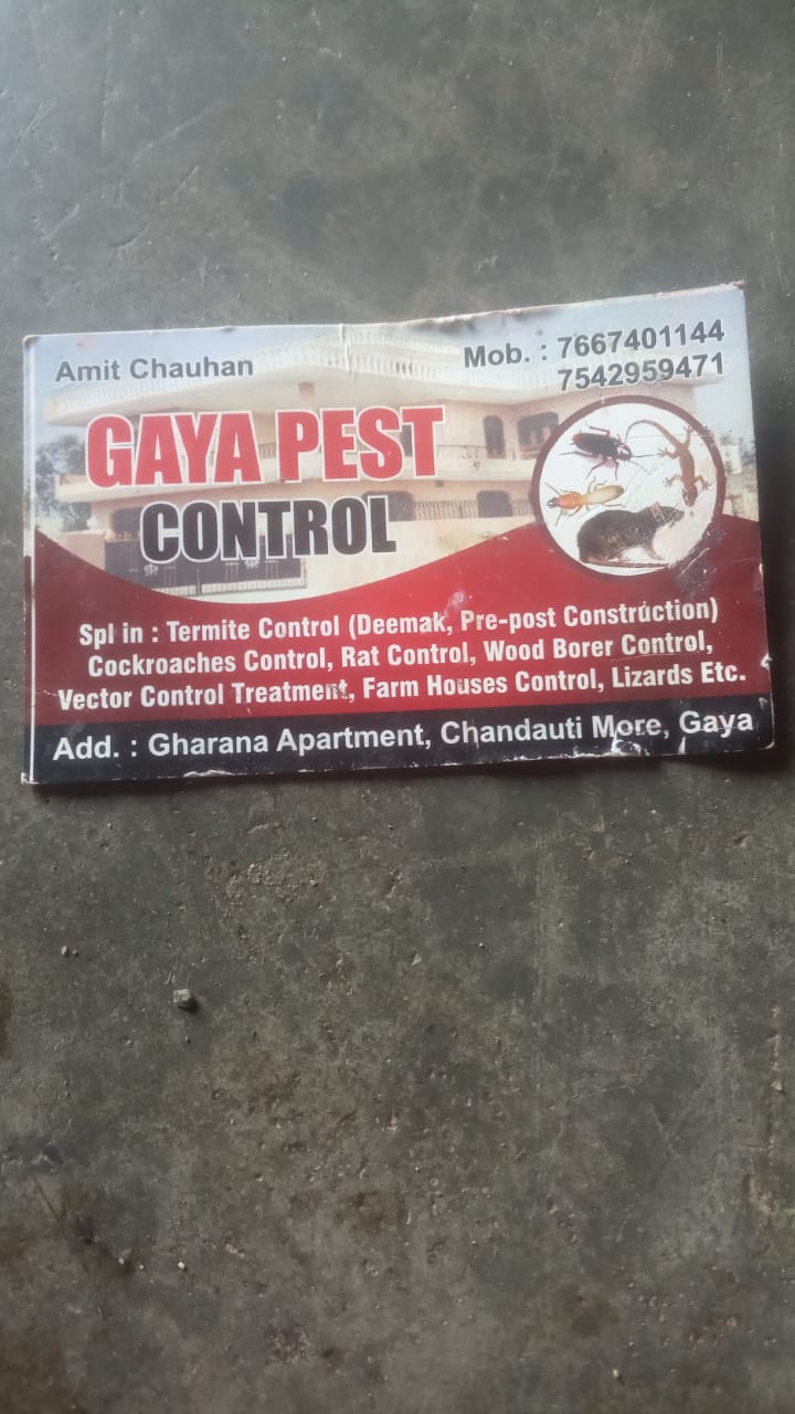 Gaya Pest Control in Chandouti, Gaya-823001 | Sulekha Gaya