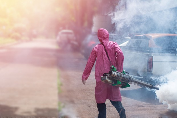 Everything You Need To Know About The Fumigation Process